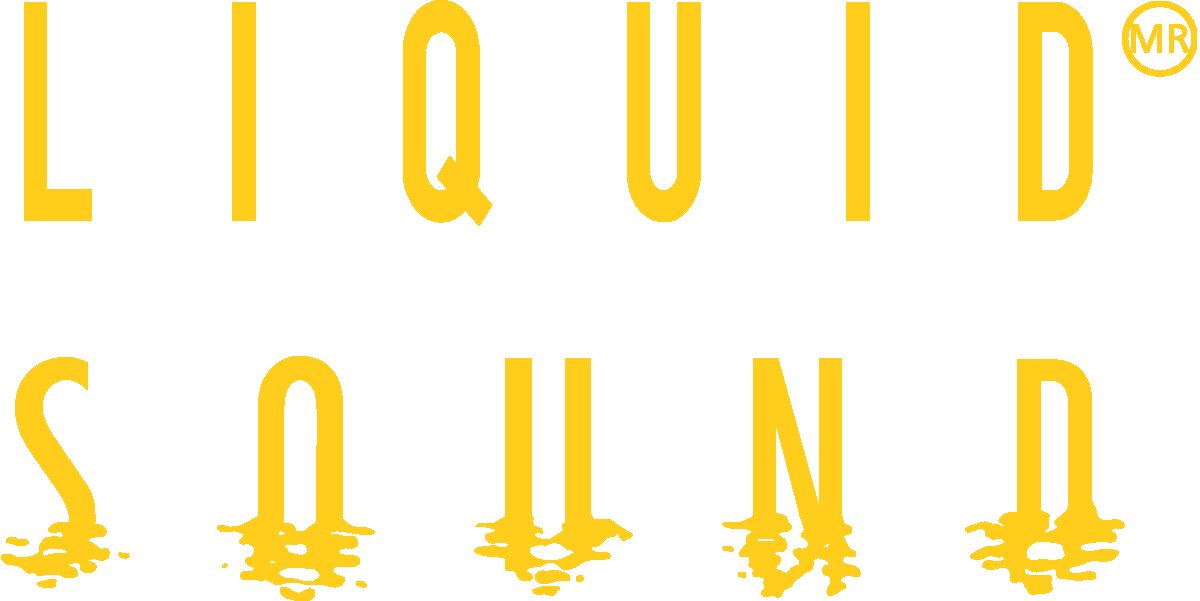 Liquid Sound A Concert Hall Filled With Water